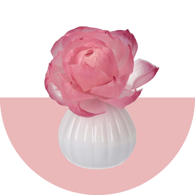 Bridgewater Candle Company